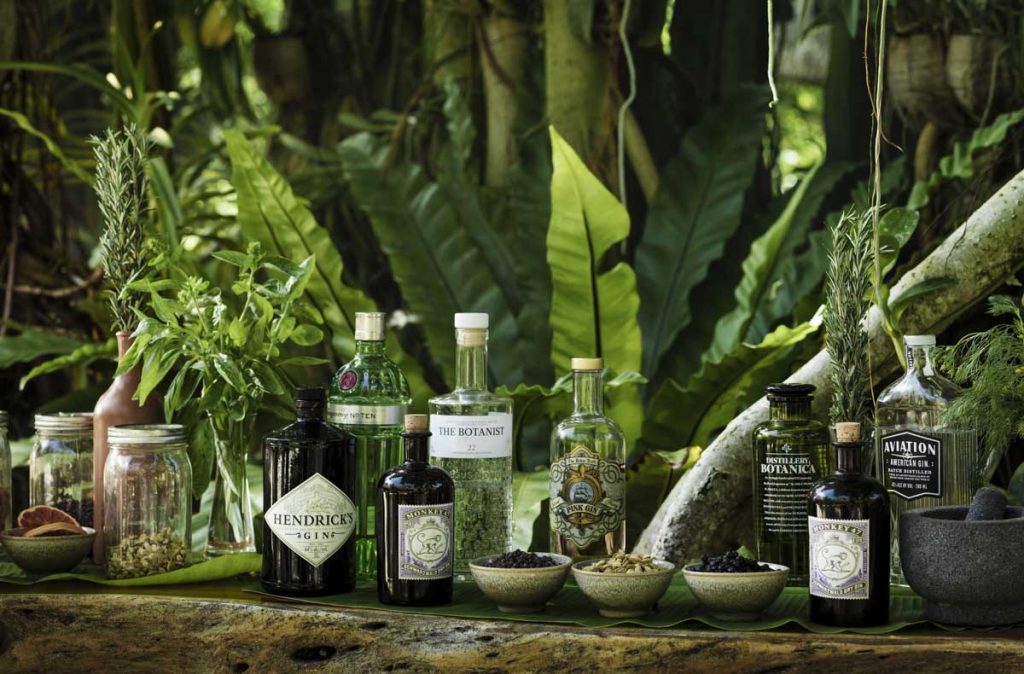 One&Only Reethi Rah – F&B – Botanica – Gin Bar Sacred Tree – One&Only ...